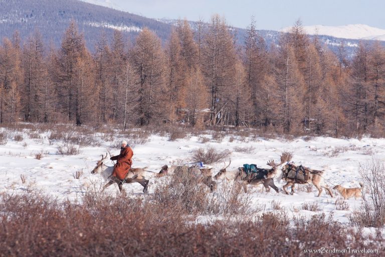 Tsaatan people and Reindeer | Mongolia Tours
